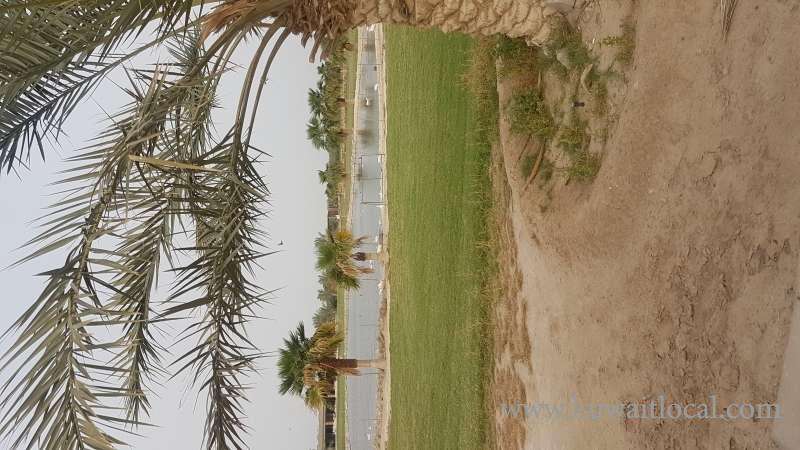 Yasmin Farms Al Wafra | Kuwait Local Business Directory