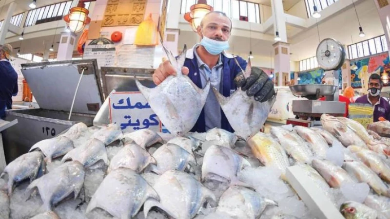 Affordable Silver Pomfret Fish Available In Abundance | Kuwait Local News