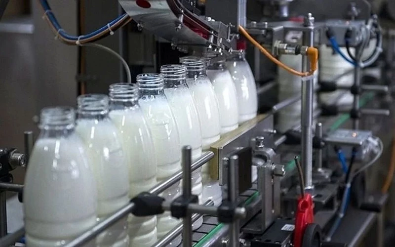 Kuwait Dairy Farms Hit By Foot-and-Mouth Outbreak, Milk Prices Surge ...