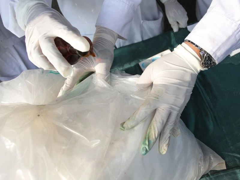 Kuwait Foils KD1 Million Drug Smuggling Operation | Kuwait Local News