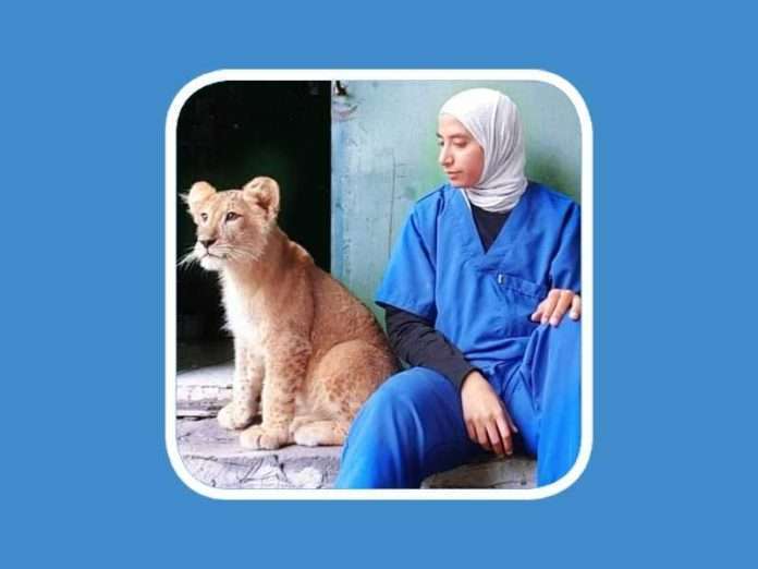 Kuwaiti Vet Rescues 7 Lion Cubs Abandoned On The Streets | Kuwait Local ...
