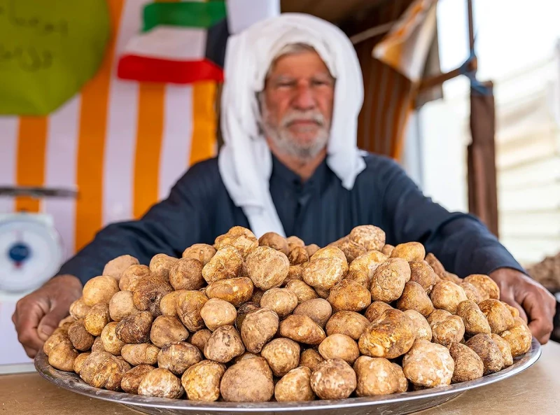Kuwait's Faqaa Truffle Season: A Culinary Delight For Desert ...