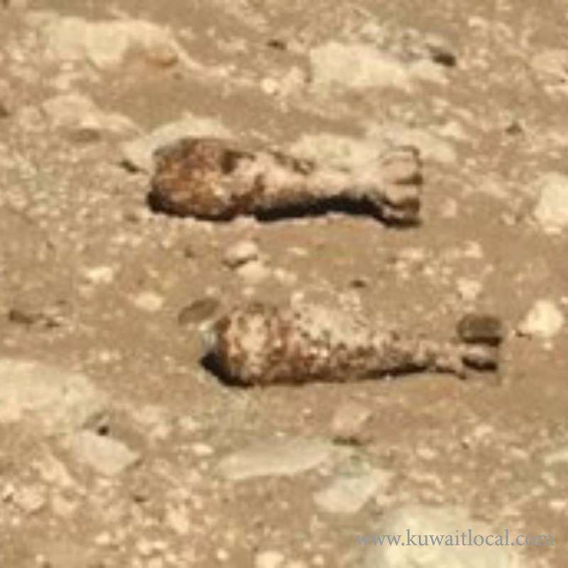 Mortar Shells Found | Kuwait Local News