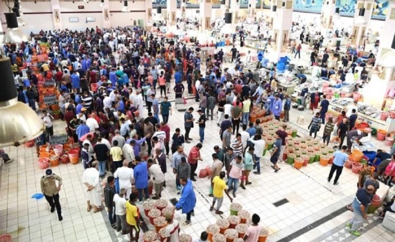 Souk Sharq Market Fish Mongers Express Their Frustrations | Kuwait ...