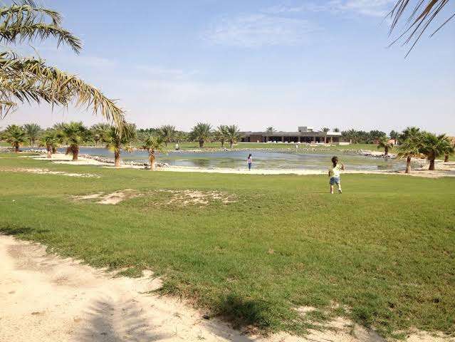 The Al-wafra Recreational Park Will Become A Tourist Hub For Everyone ...